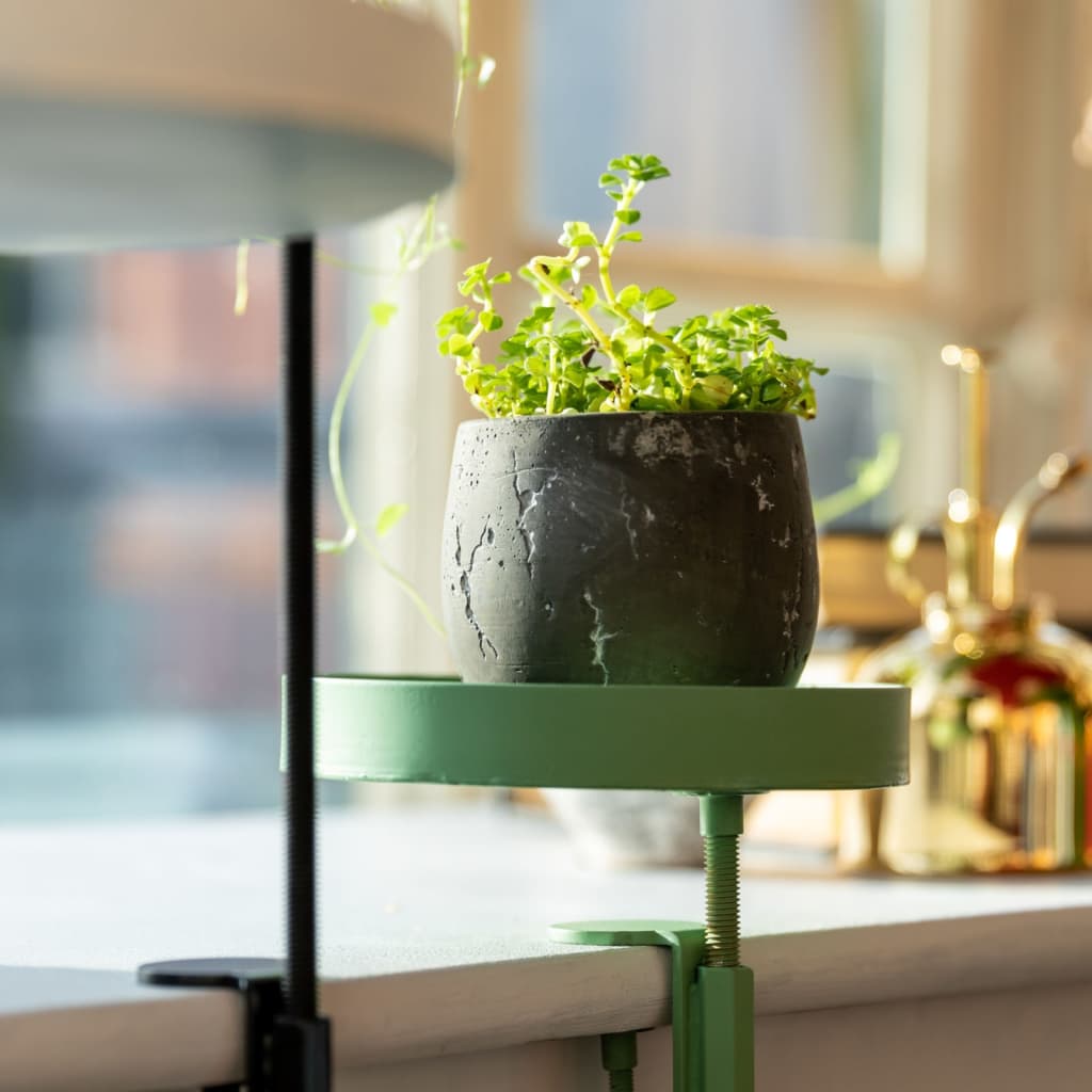 Esschert Design Plant Tray with Clamp Round Green S | vidaXL.ie